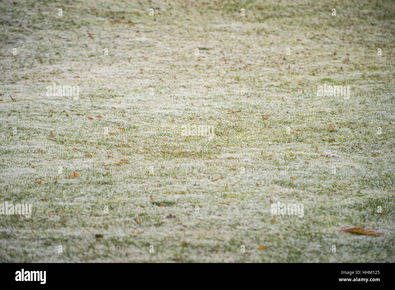 Frozen ground on the meadow with light ice Stock Photo - Alamy