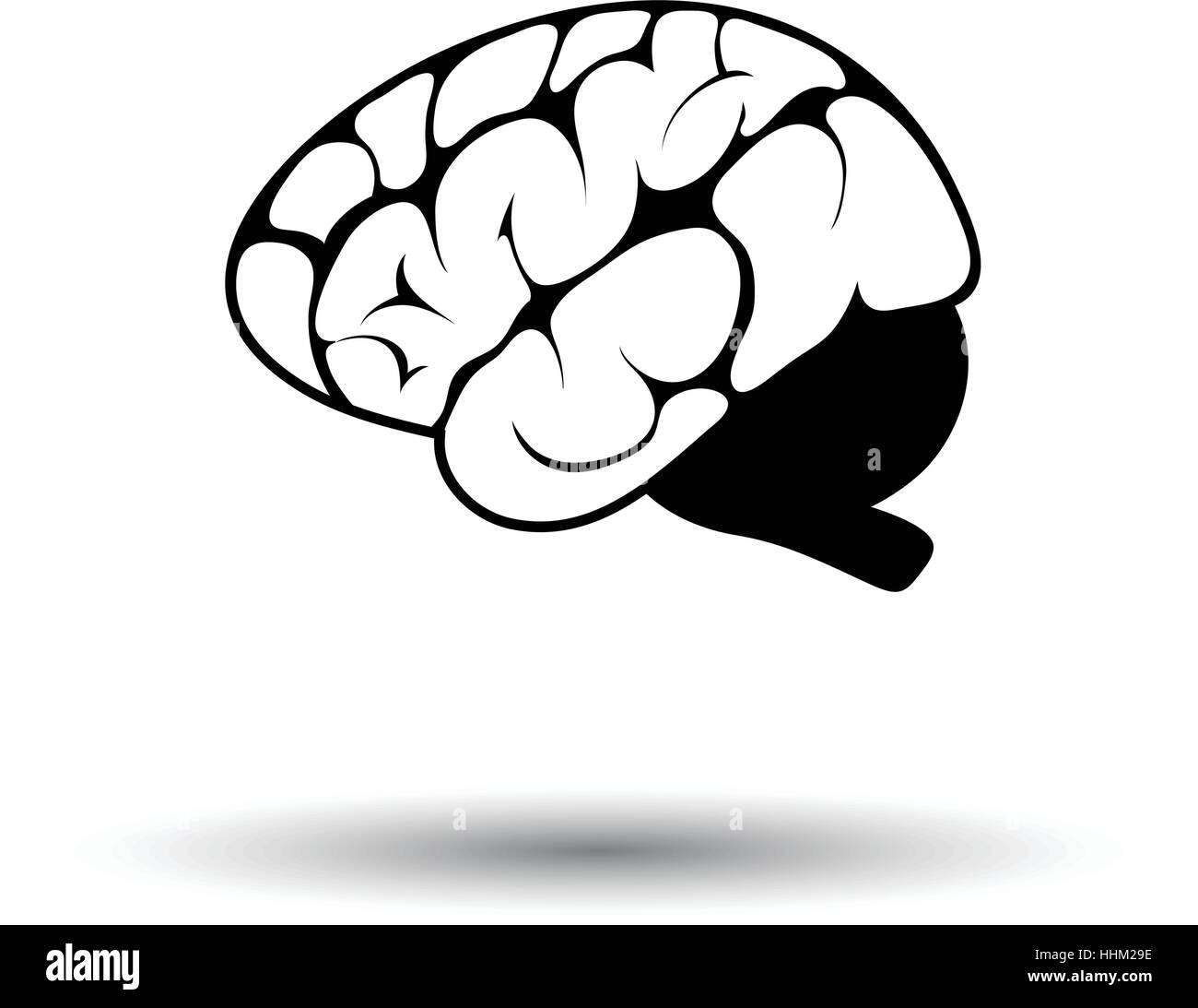 Brain icon. White background with shadow design. Vector illustration ...