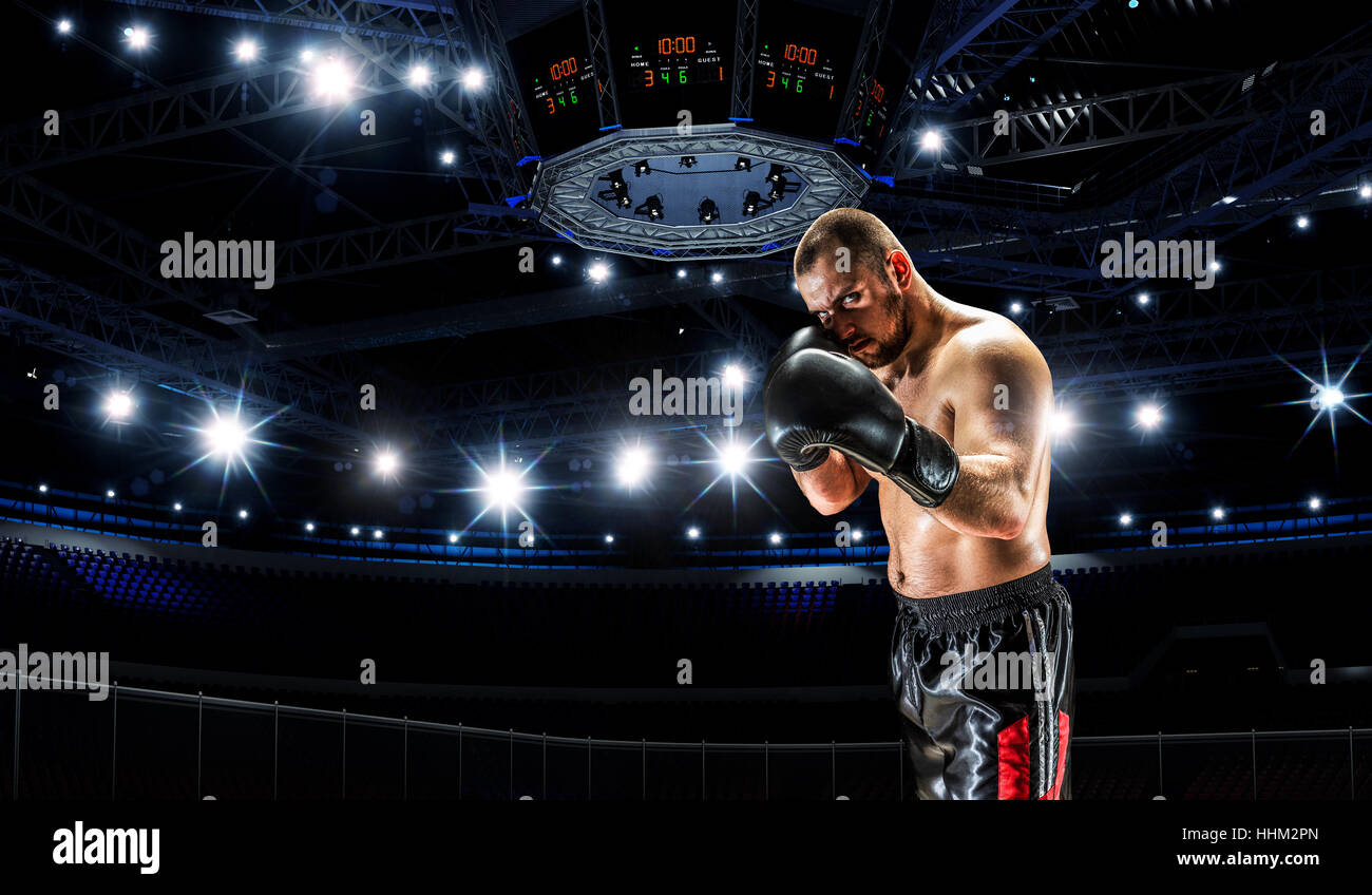 Professional box fighter on grand arena. Mixed media Stock Photo - Alamy