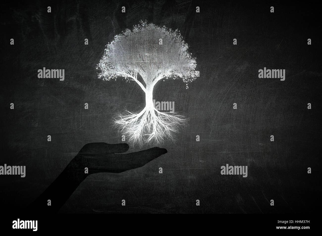Hand holding tree shadow sign on concrete background Stock Photo - Alamy
