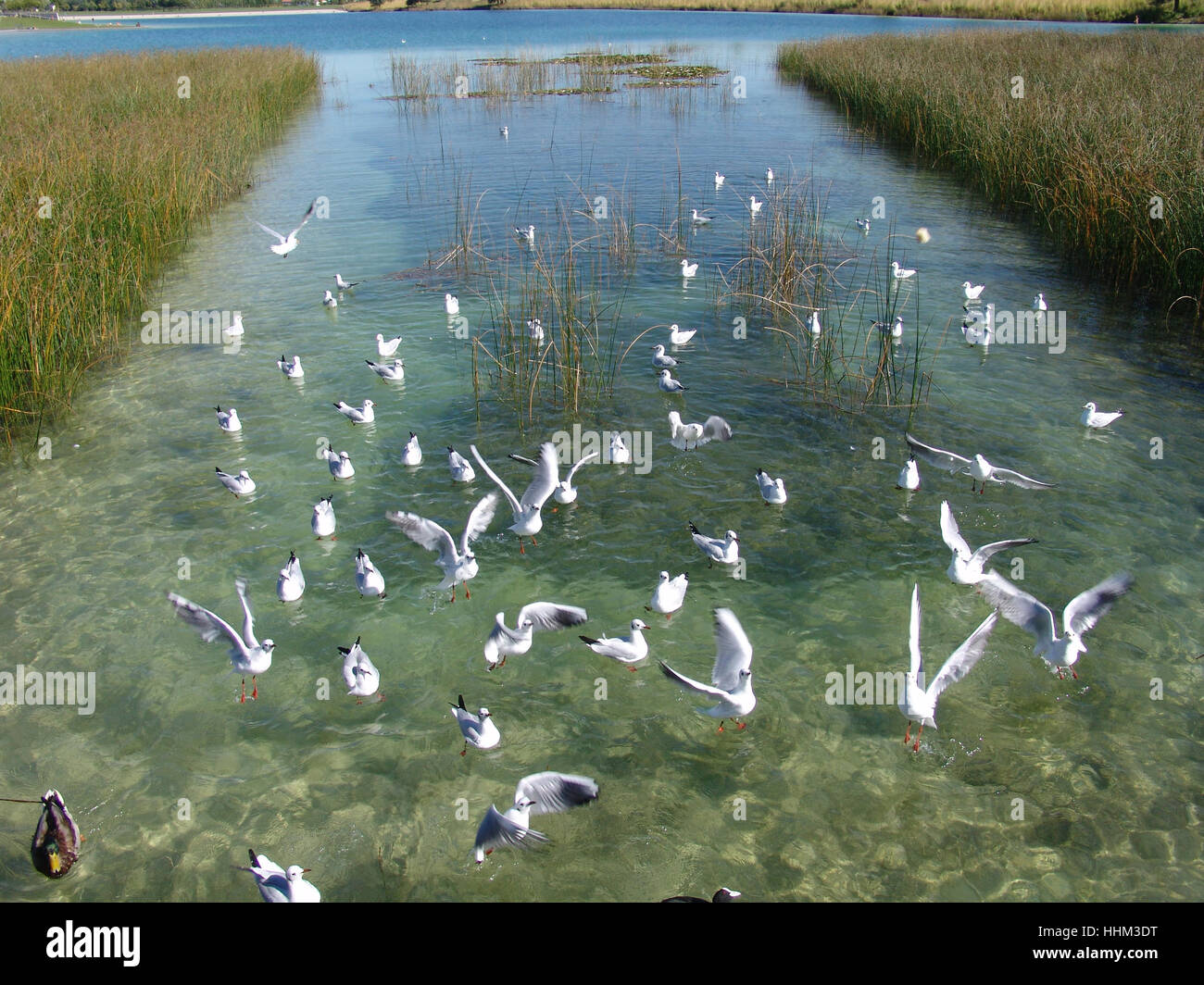 everyone wants clean water Stock Photo - Alamy