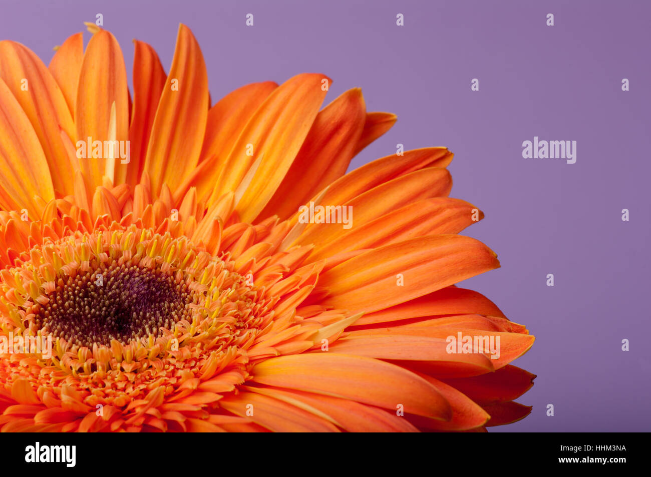 big, large, enormous, extreme, powerful, imposing, immense, relevant ...