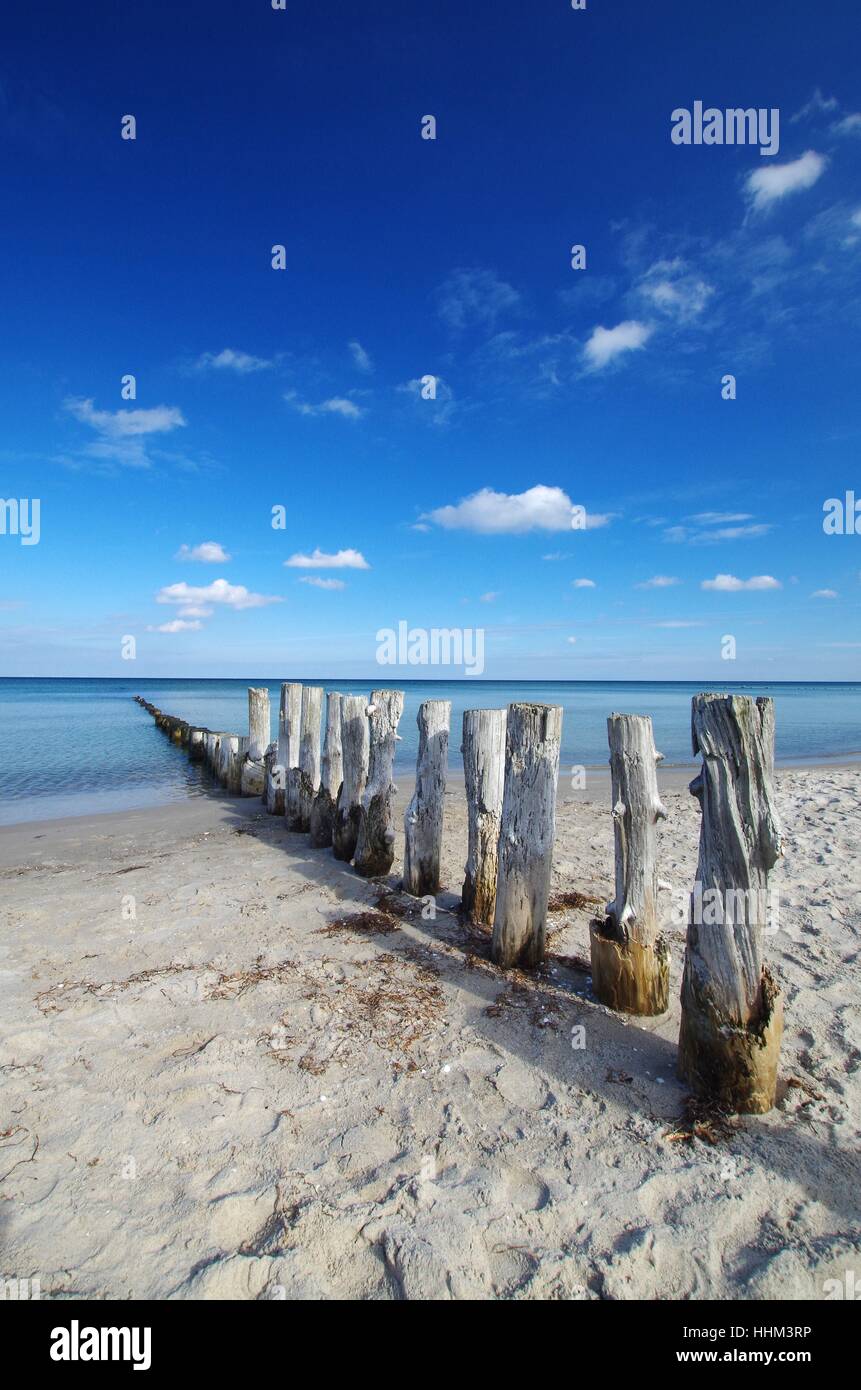 buhnenreste on the beach of prerow Stock Photo - Alamy