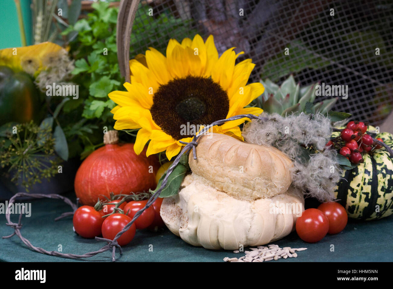 Display displays hi-res stock photography and images - Alamy