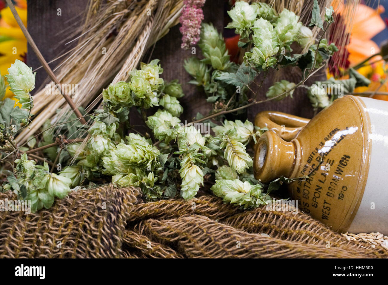 Display displays exhibit exhibition hi-res stock photography and images ...