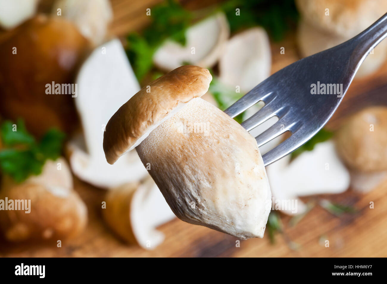 mushroom, fungus, yellow boletus, fall, autumn, food, aliment, detail ...