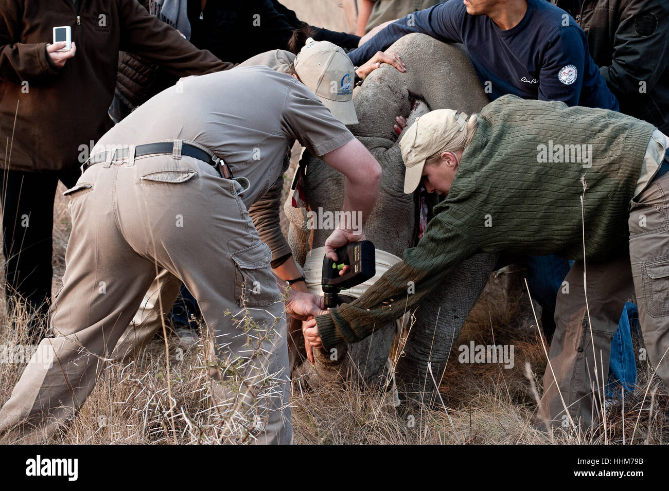 Operation horn of africa hi-res stock photography and images - Alamy