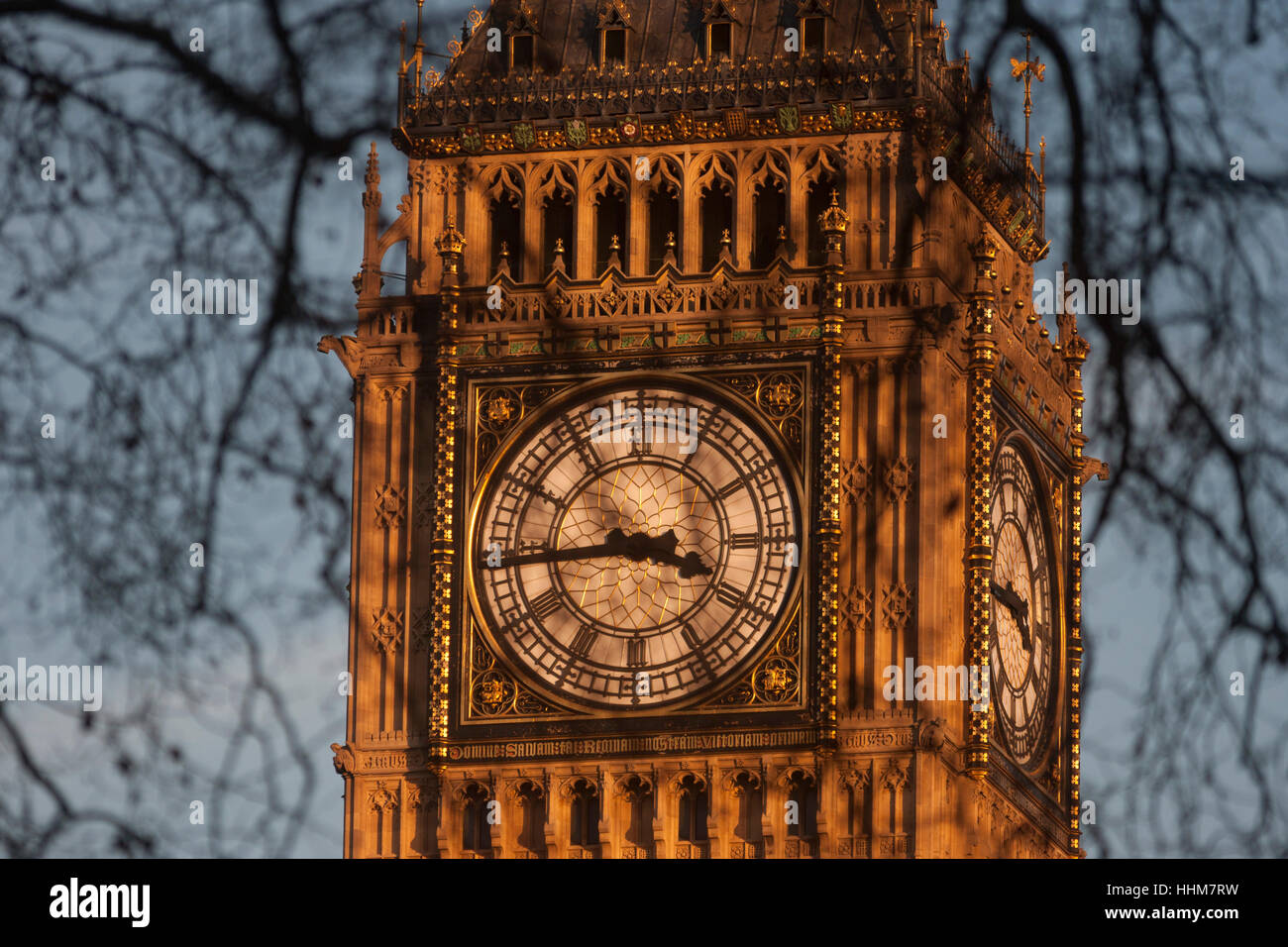 Branches of winter Plane trees in the foreground and the clockface ...