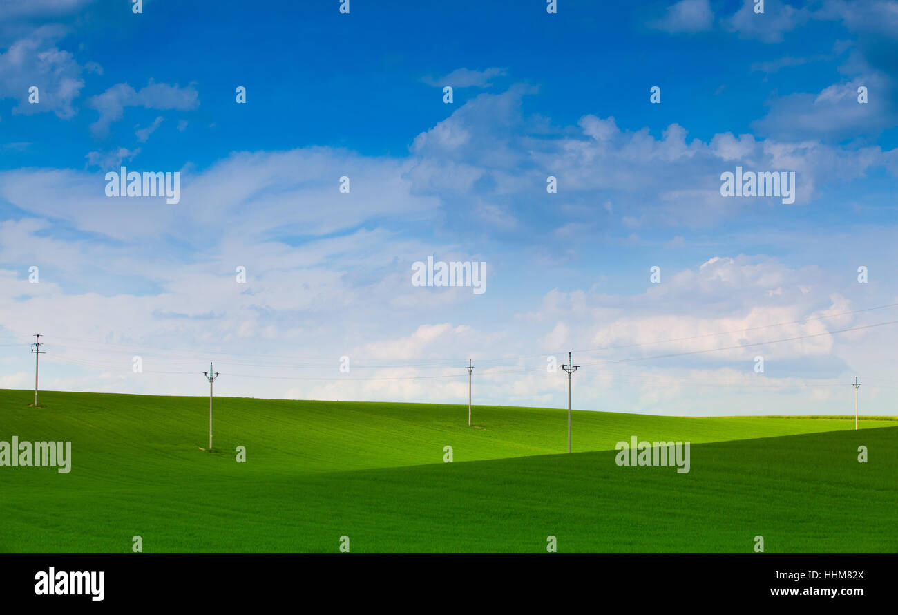 Wooden power poles on the empty spring field Stock Photo - Alamy