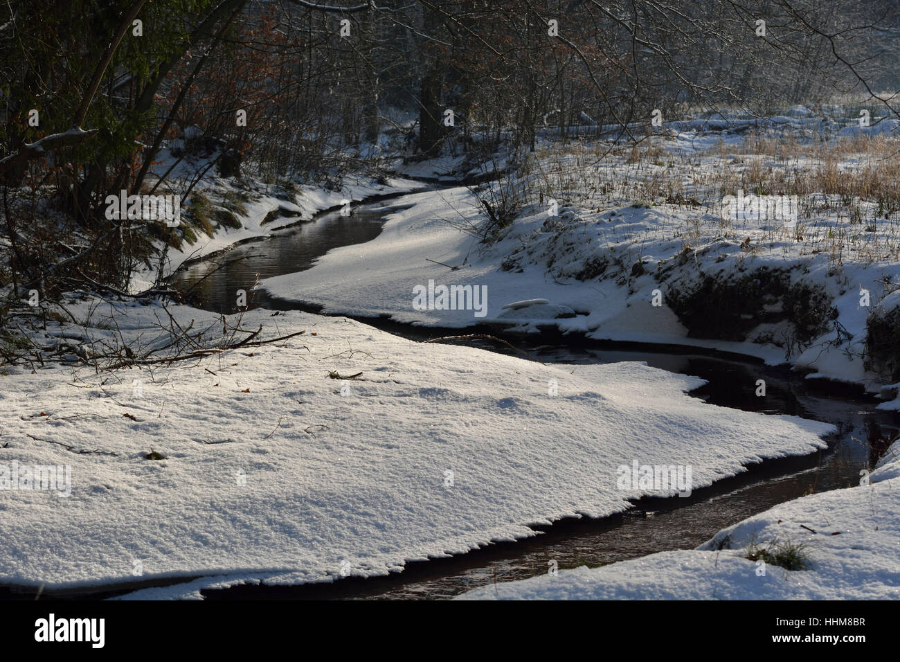 narrow stream flows through the forest in winter Stock Photo - Alamy