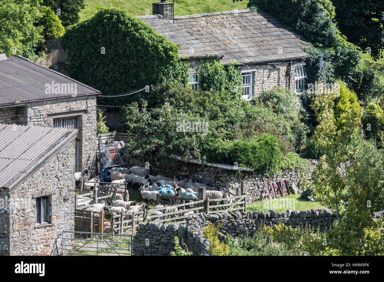 Stone sheep fold hi-res stock photography and images - Alamy