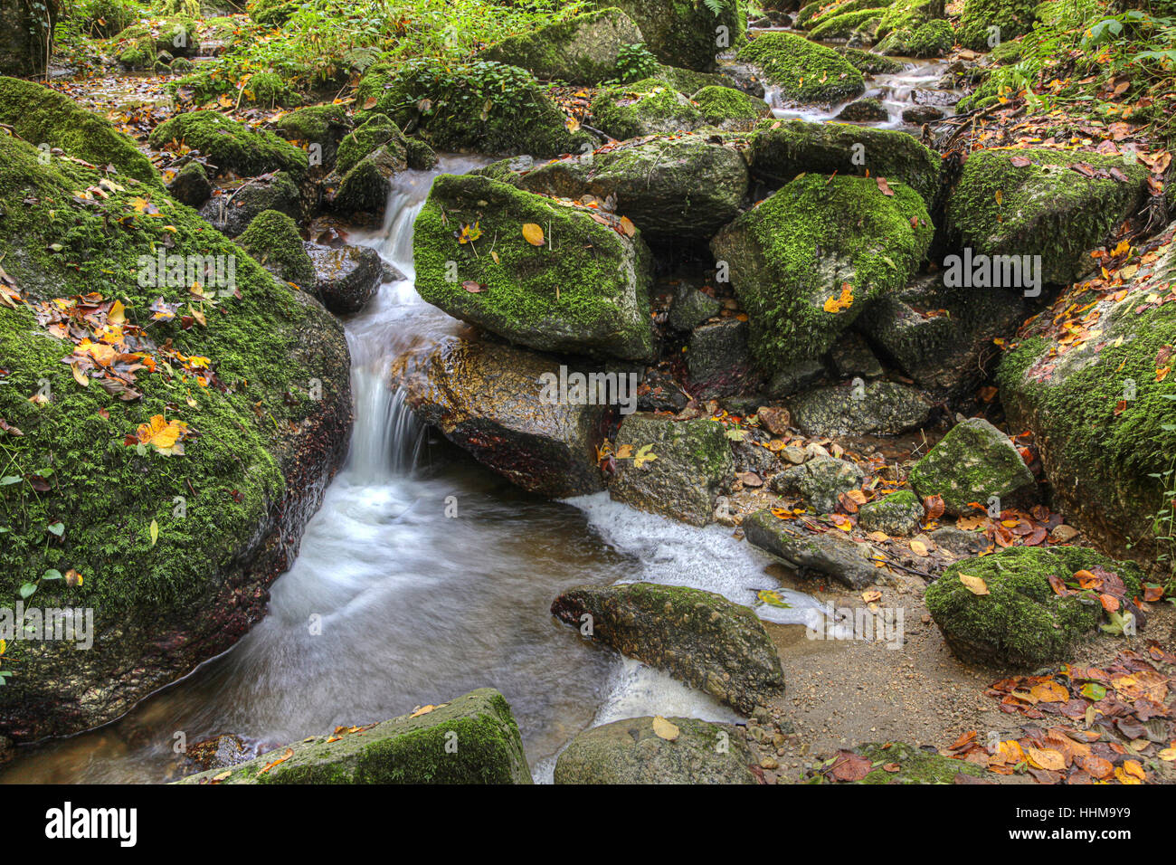 stream, rock, moss, forest, nature, stones, green, shine, shines ...