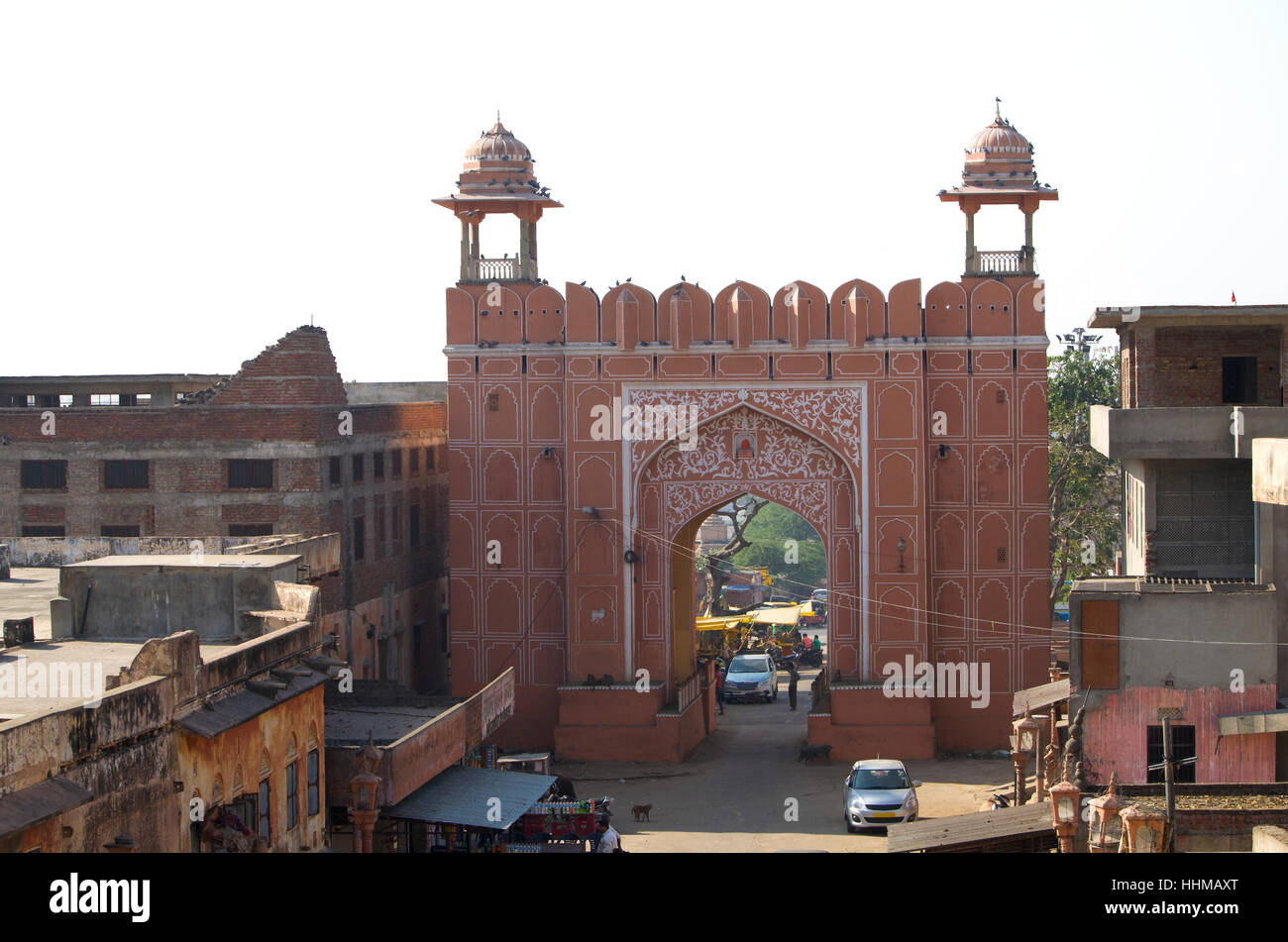 Temple monkeys of india hi-res stock photography and images - Alamy