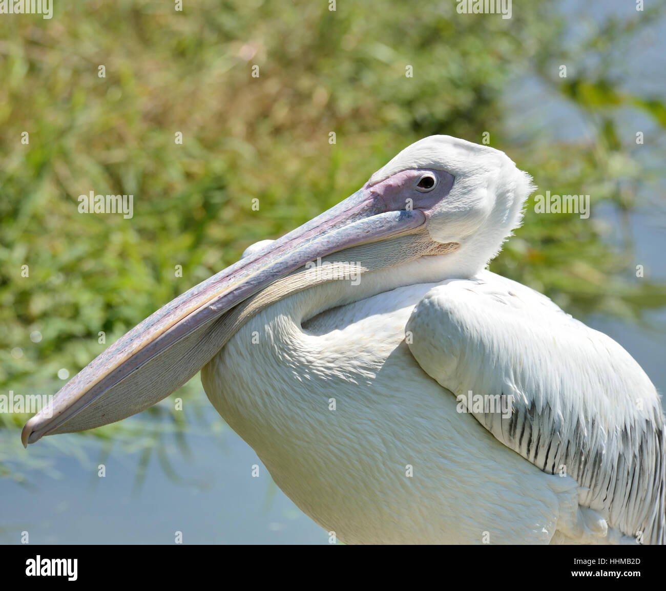 big, large, enormous, extreme, powerful, imposing, immense, relevant ...