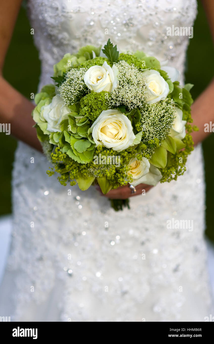 woman, hand, hands, flower, rose, plant, green, wedding, marriage ...