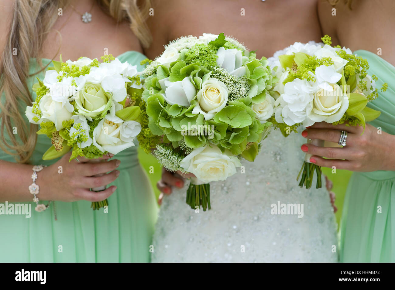 woman, women, hand, hands, flower, rose, plant, wedding, marriage ...