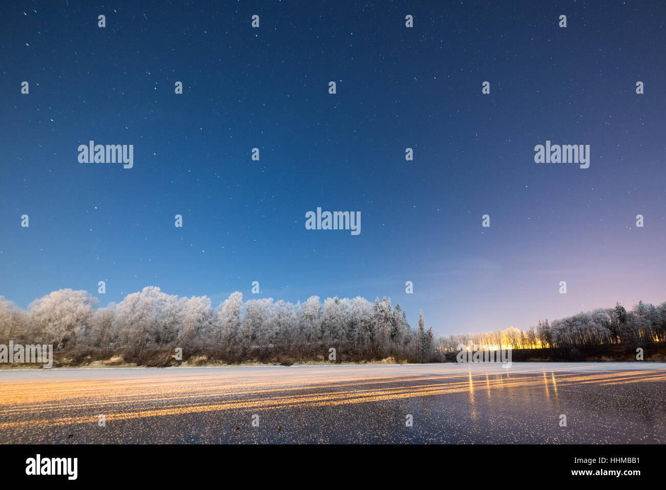 night sky with stars in the winter night with trees and frost Stock ...