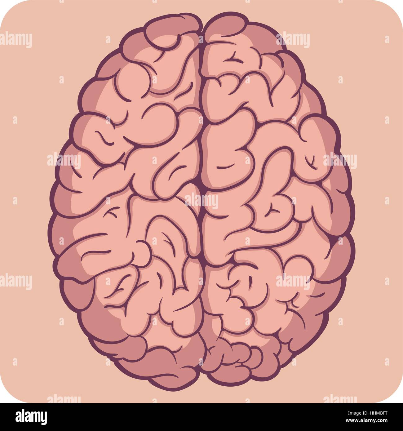 Cartoon style layered vector illustration - bright colored naturalistic ...