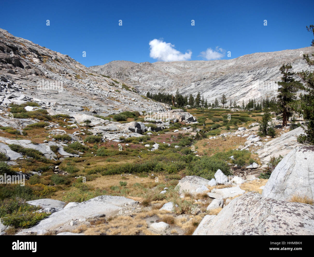 tree, landscape, scenery, countryside, nature, meadow, mountain ...
