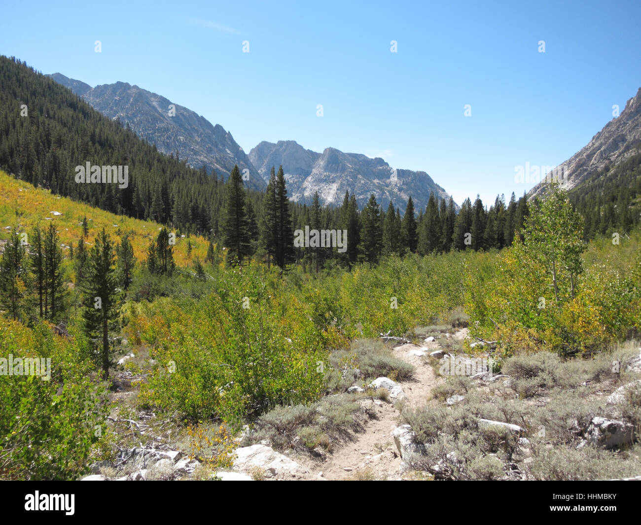 tree, landscape, scenery, countryside, nature, meadow, mountain ...