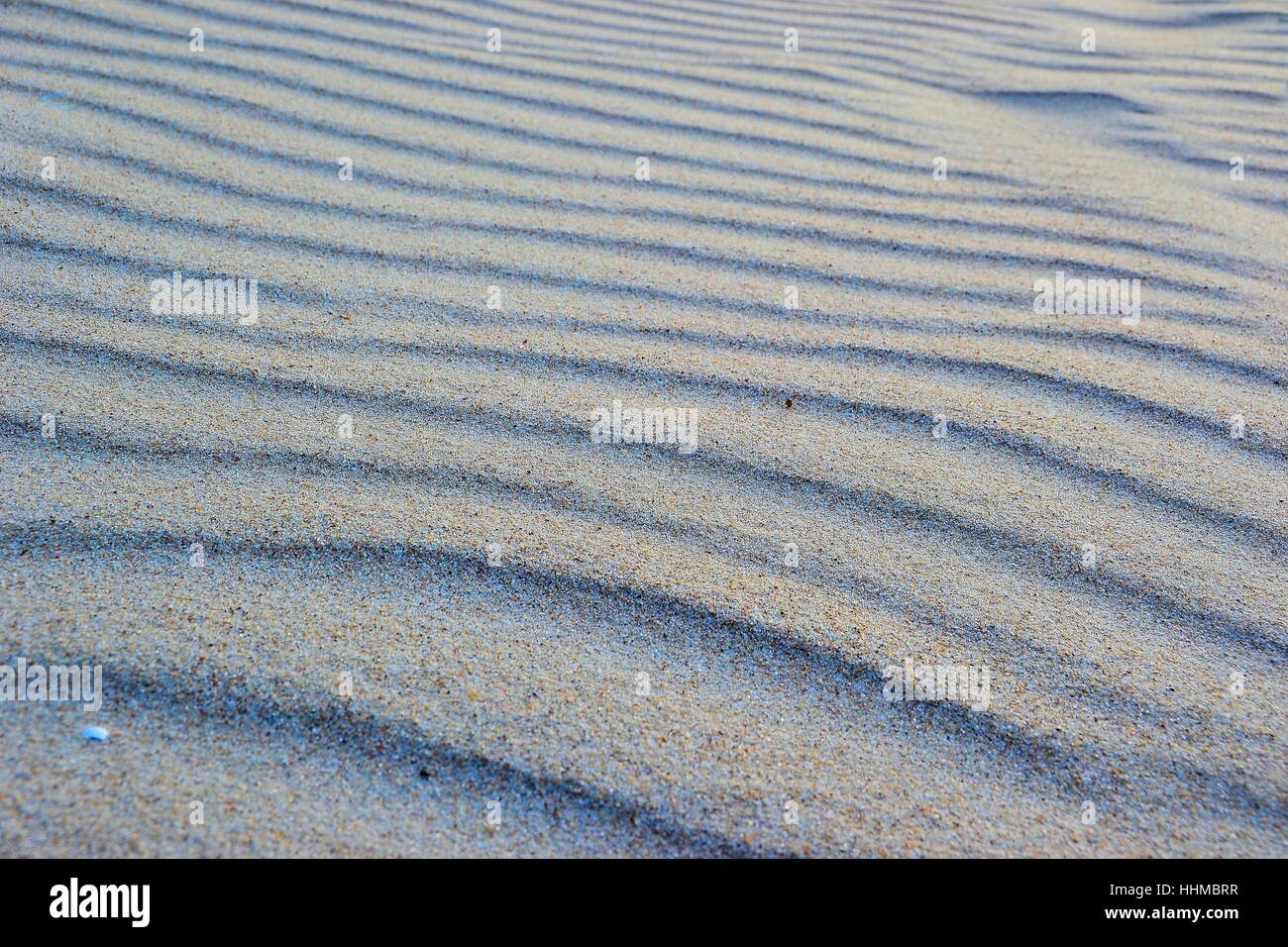 Barren (sand or sandy) bottom sea hi-res stock photography and images ...