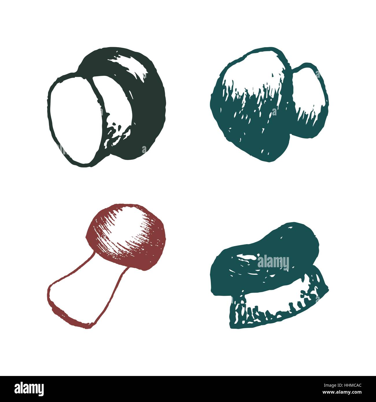 hand drawn mushrooms set Stock Vector Image & Art - Alamy