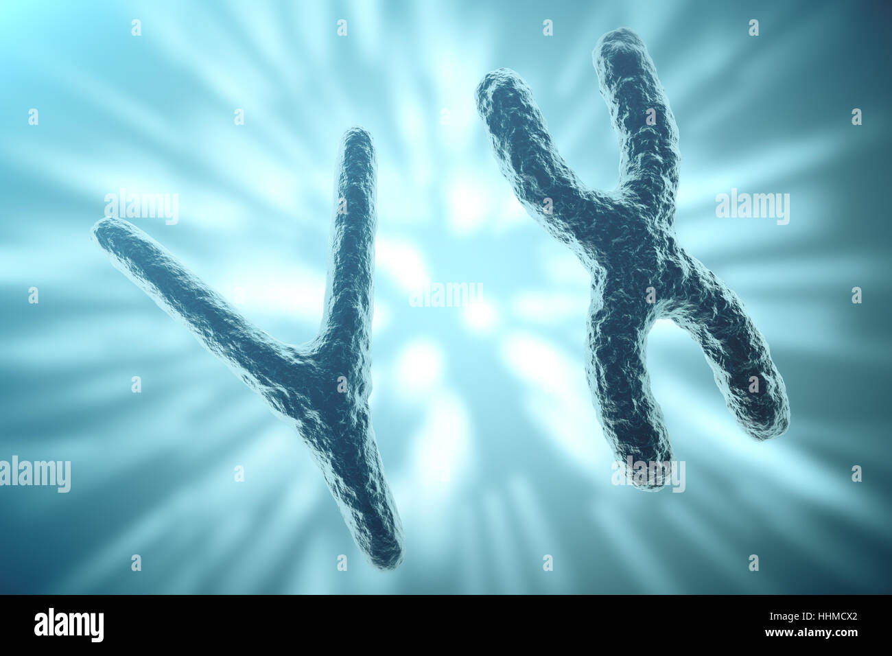 Human xy chromosomes hi-res stock photography and images - Alamy