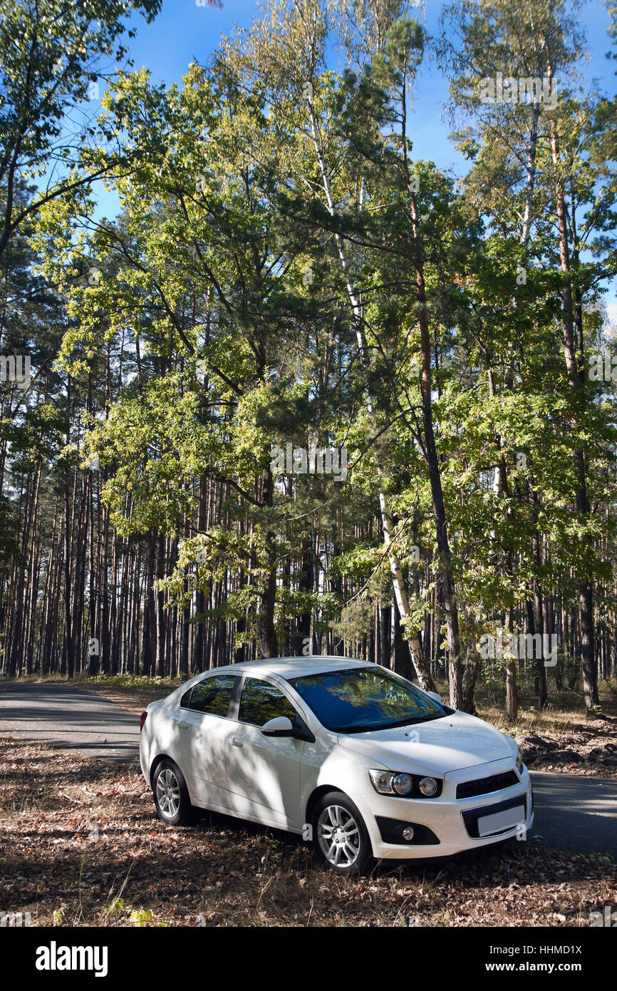 white car in a forest Stock Photo - Alamy