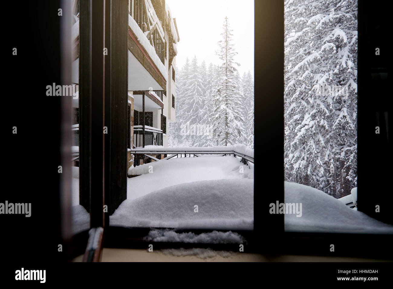 The view from window of a house in winter forest Stock Photo - Alamy
