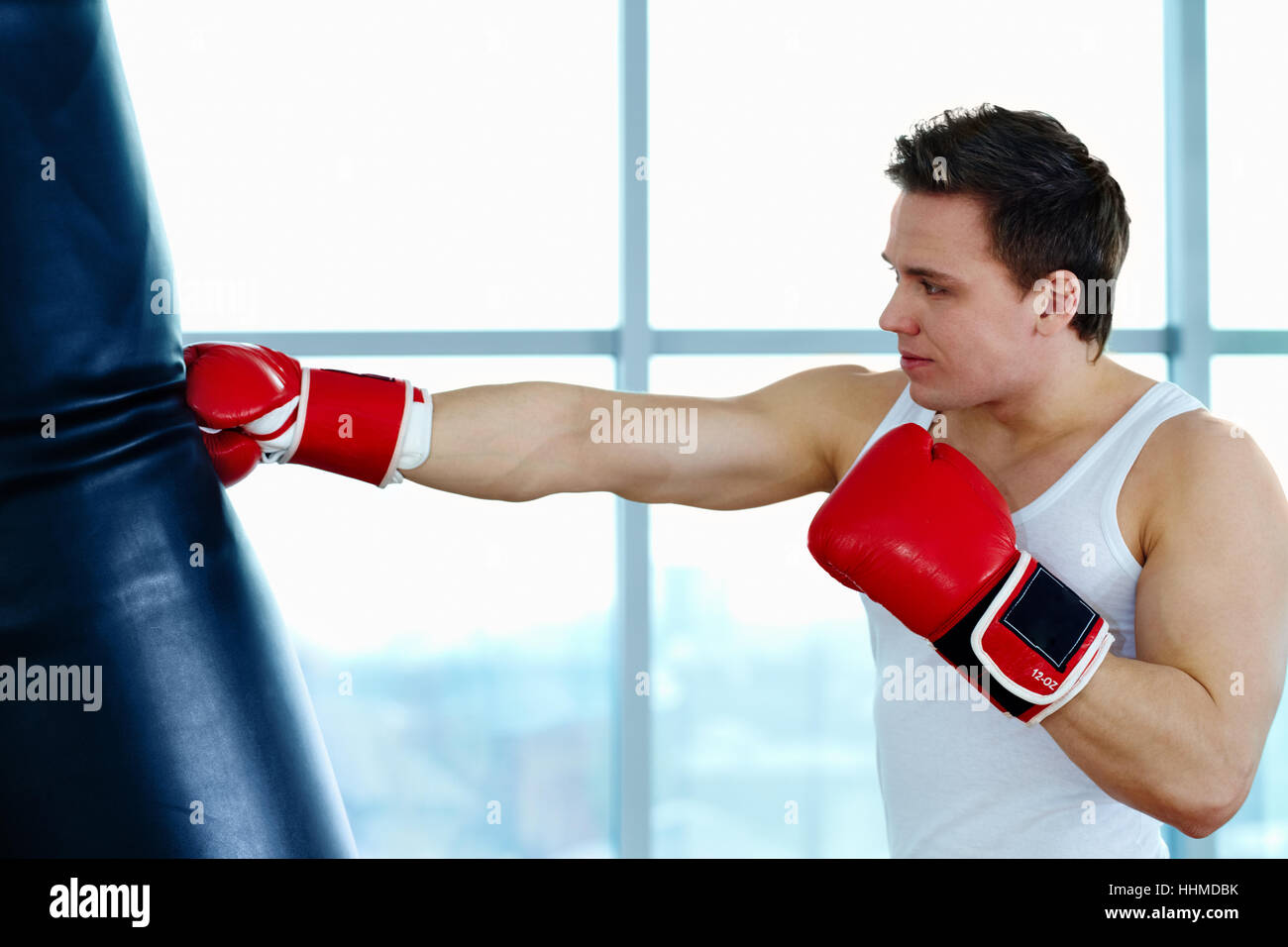 guy, humans, human beings, people, folk, persons, human, human being ...