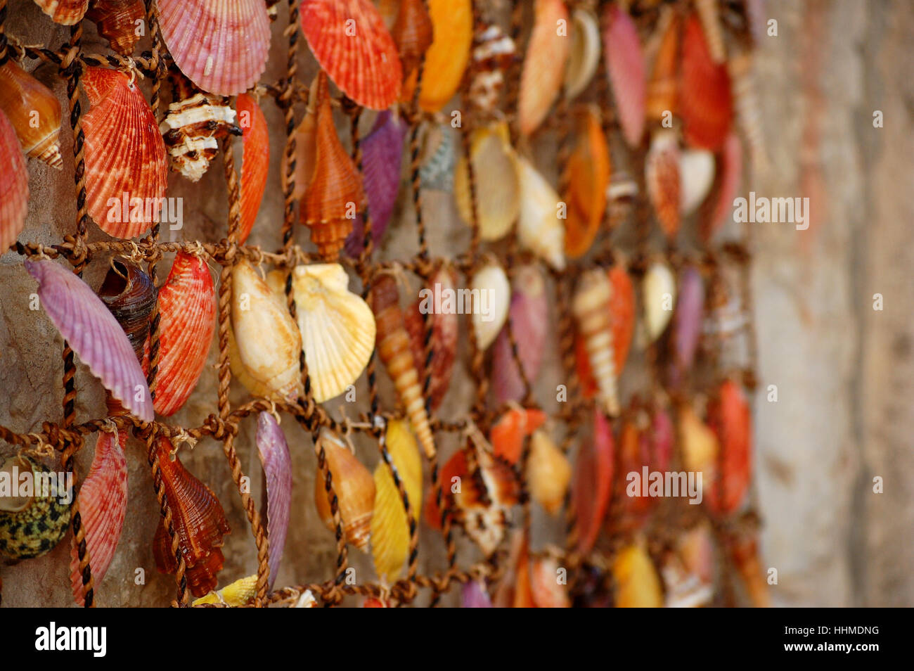 Shells in the net from side view on the concrete wall Stock Photo - Alamy
