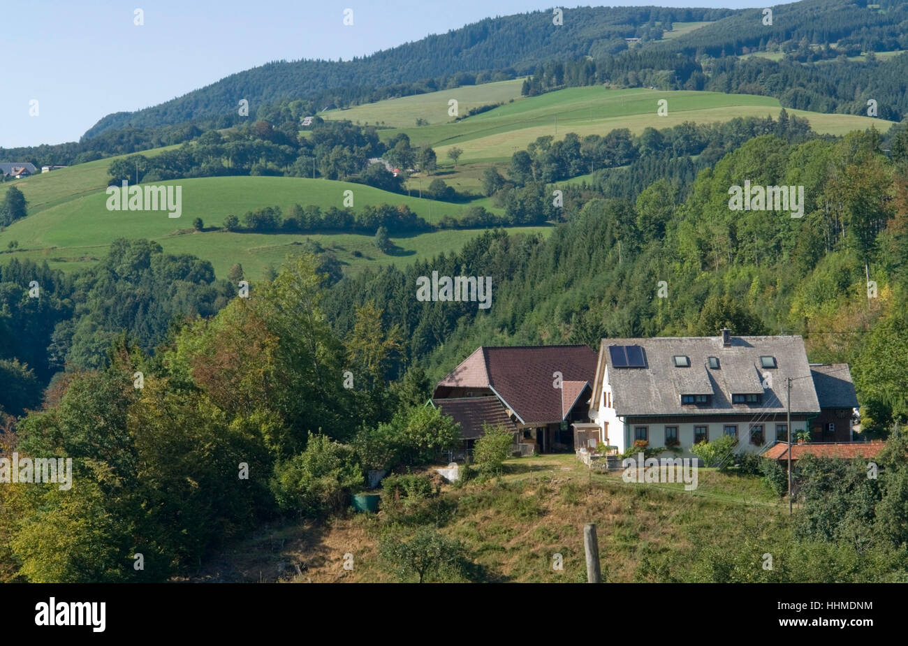 black forest, farmhouse, idyllic, forest, bathing, corridor, beautiful ...