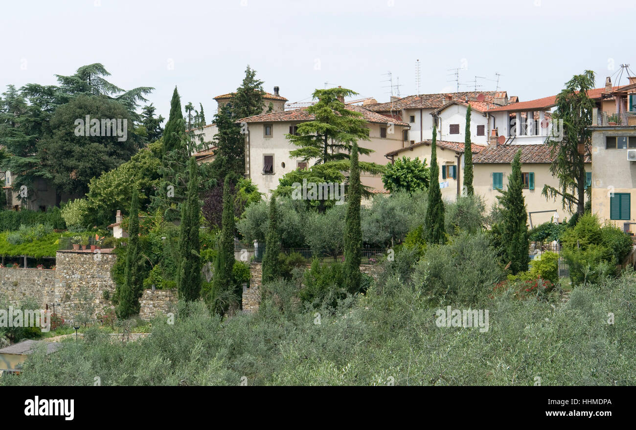 bucolic, agriculture, farming, tuscany, idyllic, scenery, countryside ...