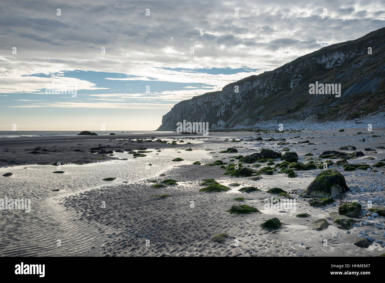 Morning light below Buckton cliffs at Filey Bay on the coast of North ...