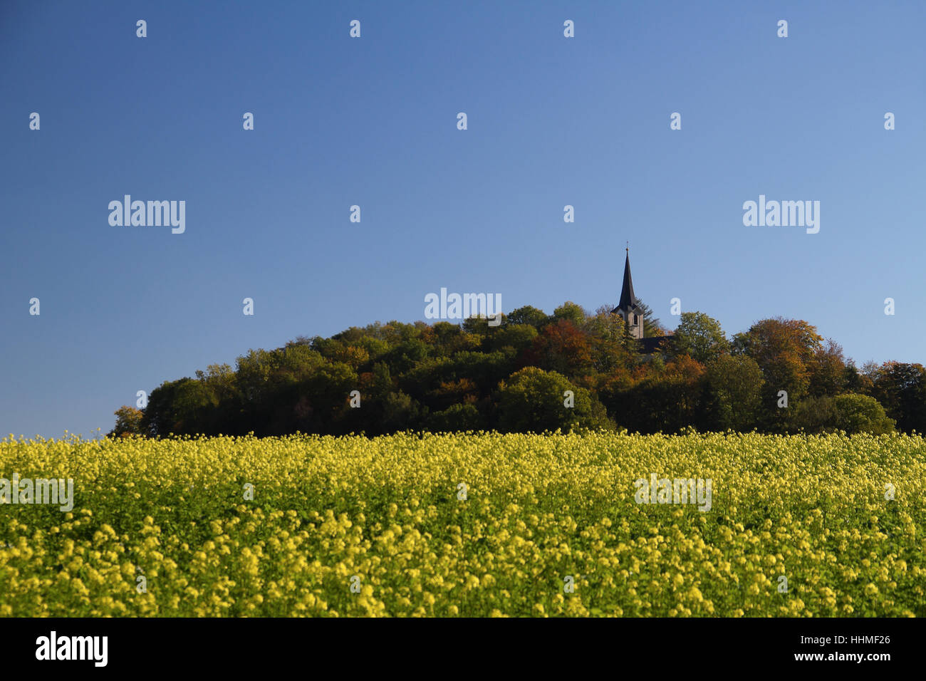 blue, agrarian, church, tree, trees, horizon, plant, green, bloom ...