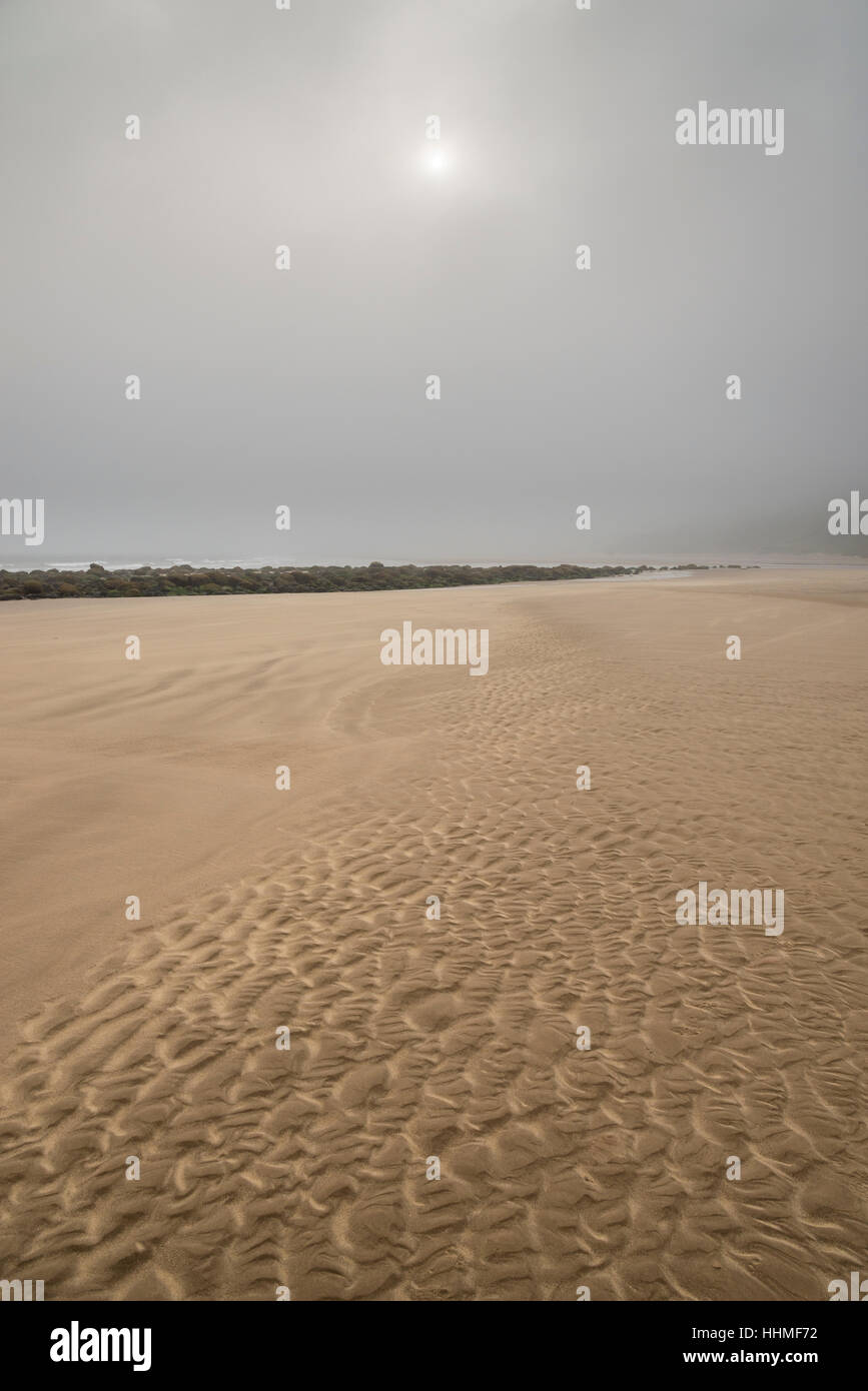 Mist at cayton bay hi-res stock photography and images - Alamy