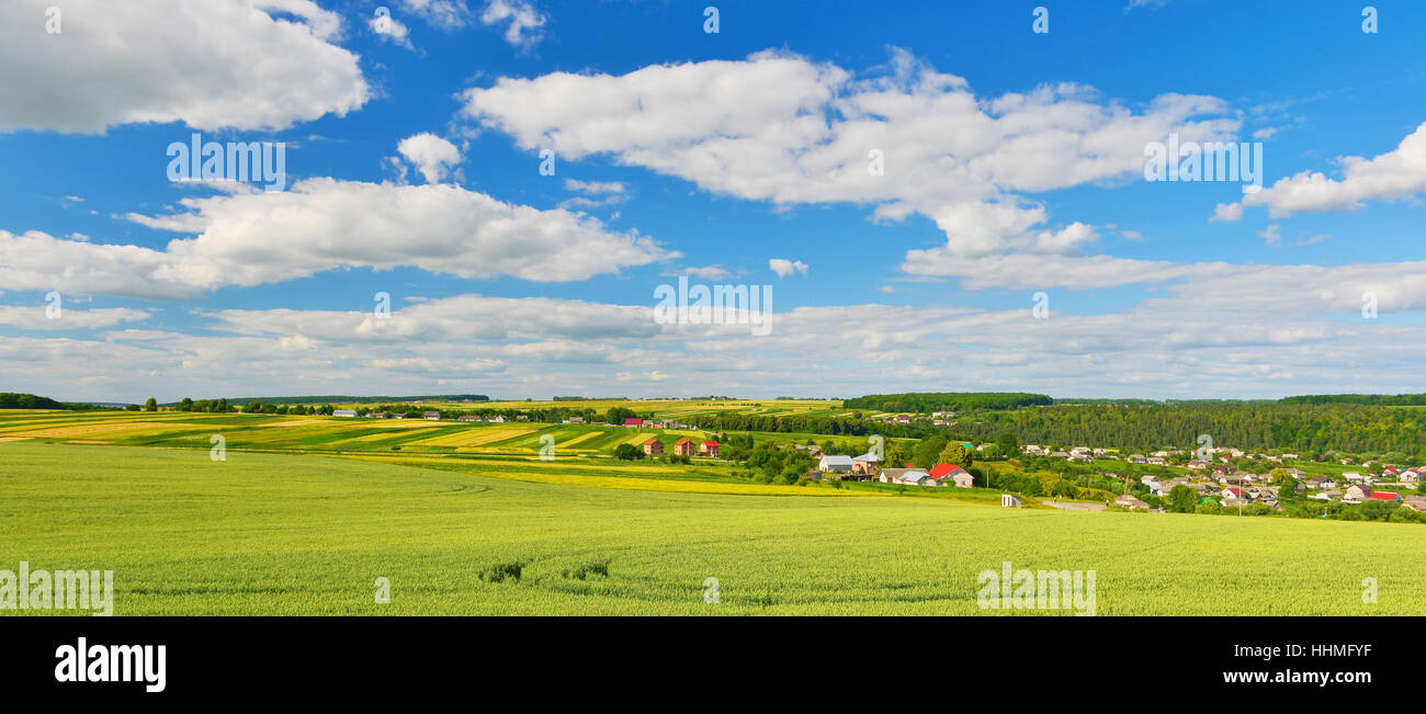 Rural landscape with green field in summer Stock Photo - Alamy