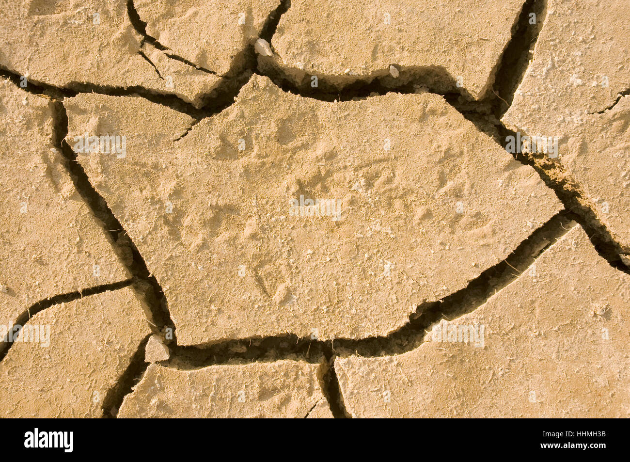 ground, soil, earth, humus, dry, dried up, barren, dried, globe, planet ...