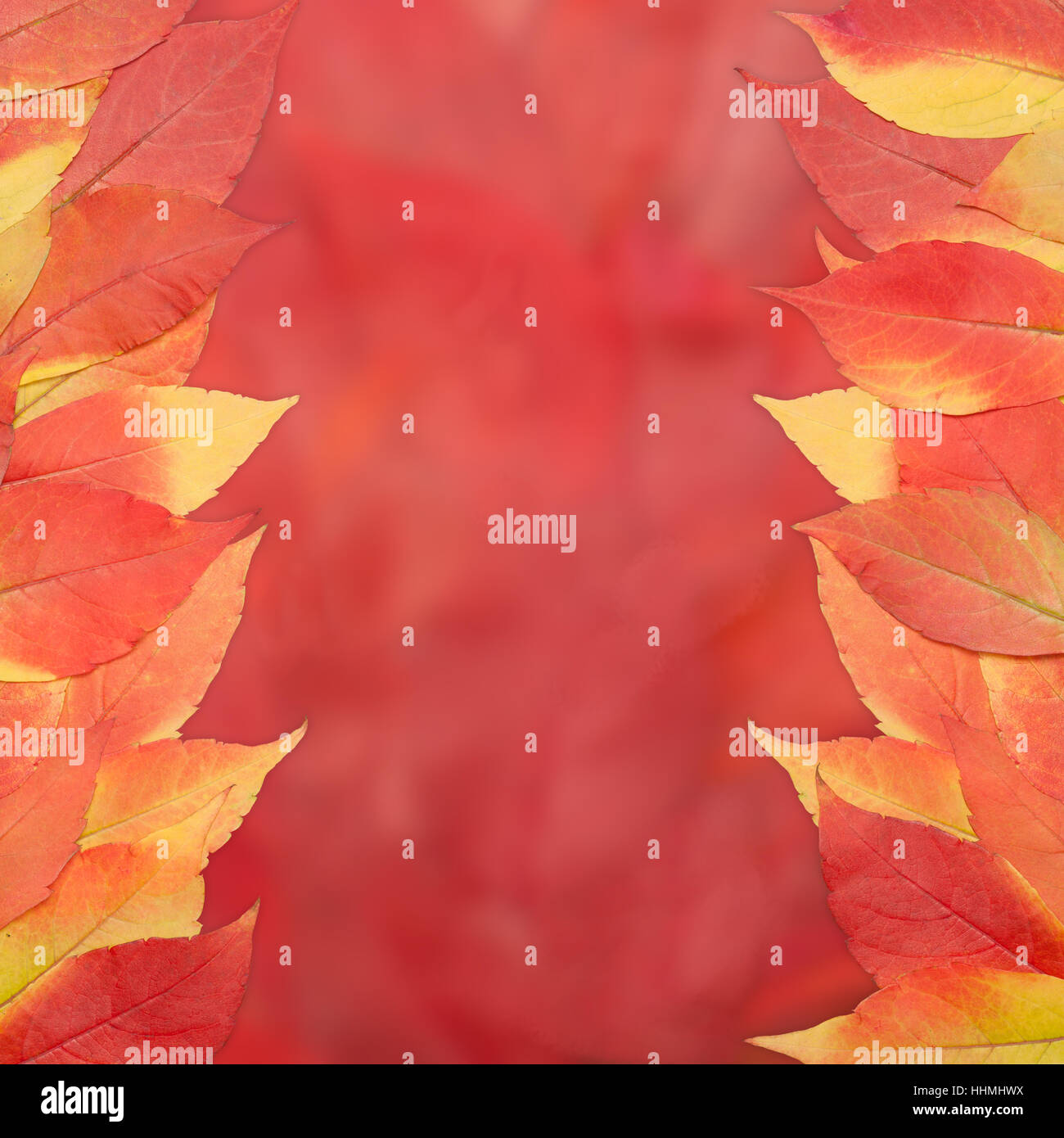 leaf, colour, leaves, autumnal, color, backdrop, background, yellow ...