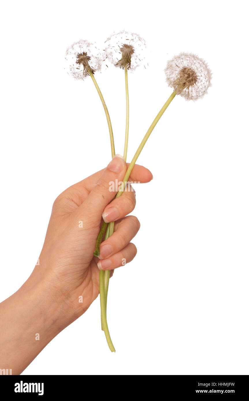 Weeding finger hi-res stock photography and images - Alamy