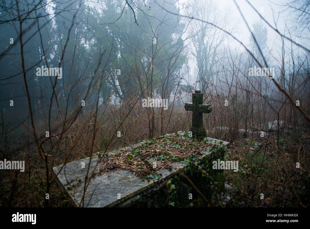 a run down grave in an abandoned cemetery in Podgorica, Montenegro ...