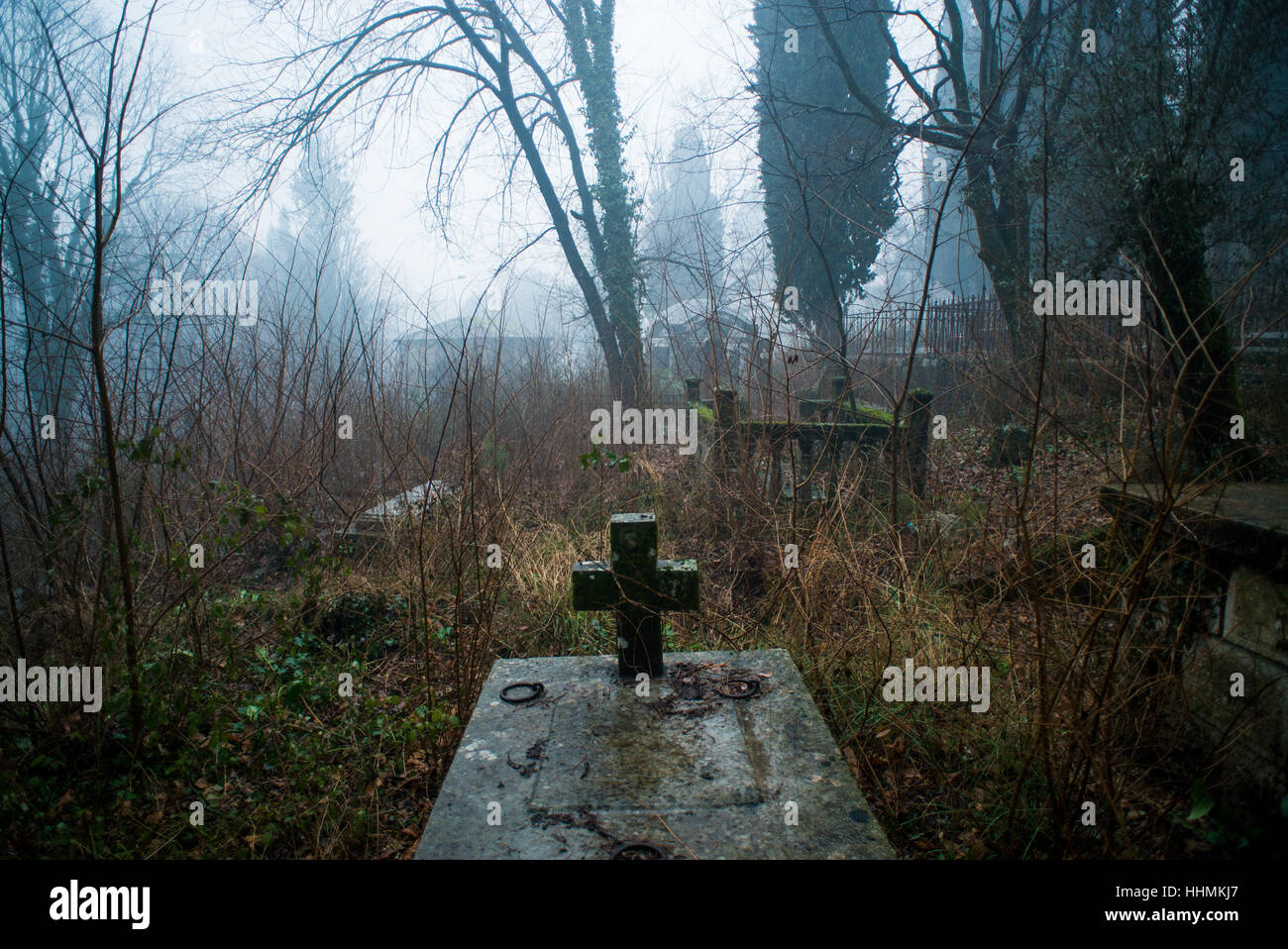 a run down grave in an abandoned cemetery in Podgorica, Montenegro ...