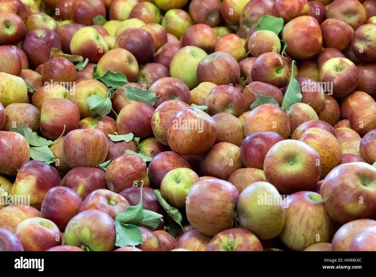 picked, heap, pile, backdrop, background, many, apple, food, aliment ...