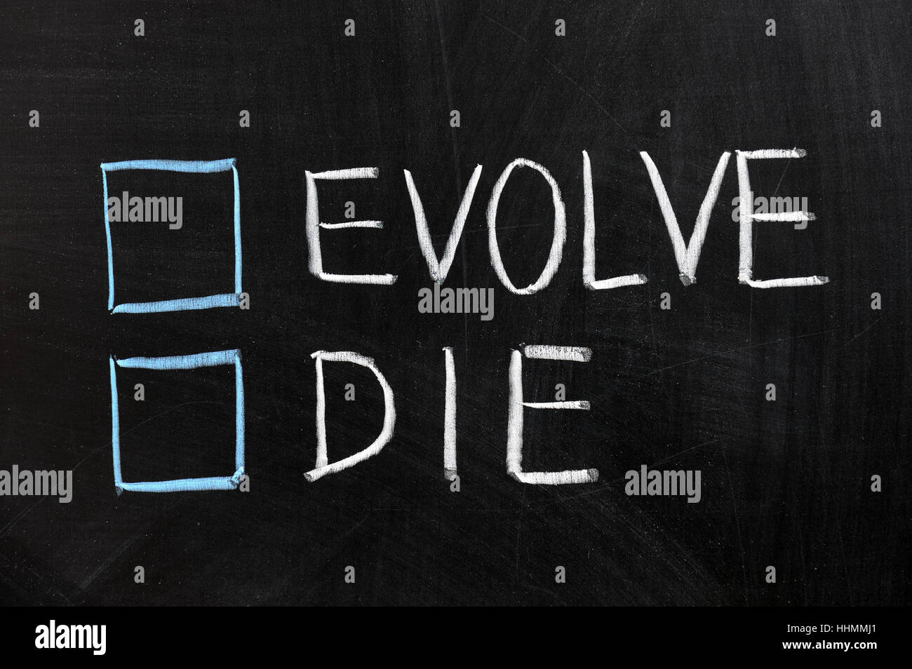 write, wrote, writing, writes, board, death, die, model, design ...