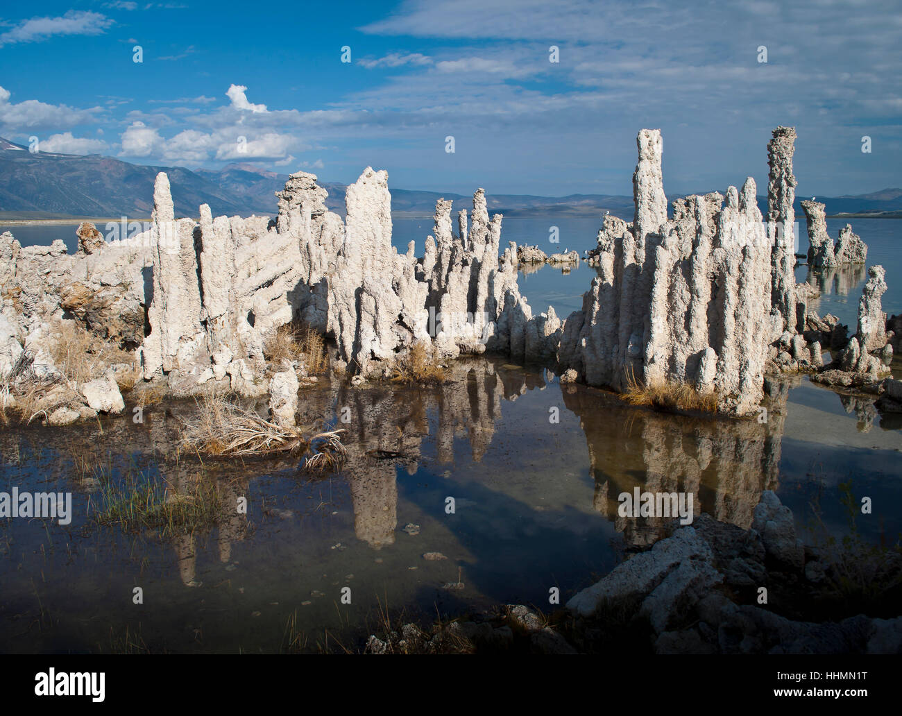 Mono water structure hi-res stock photography and images - Alamy