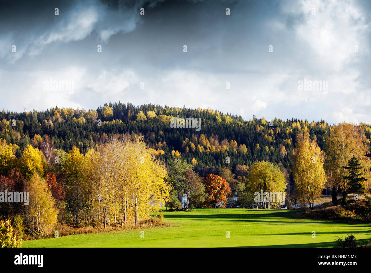 leaves, sweden, landscape, scenery, countryside, nature, foliage, fall ...