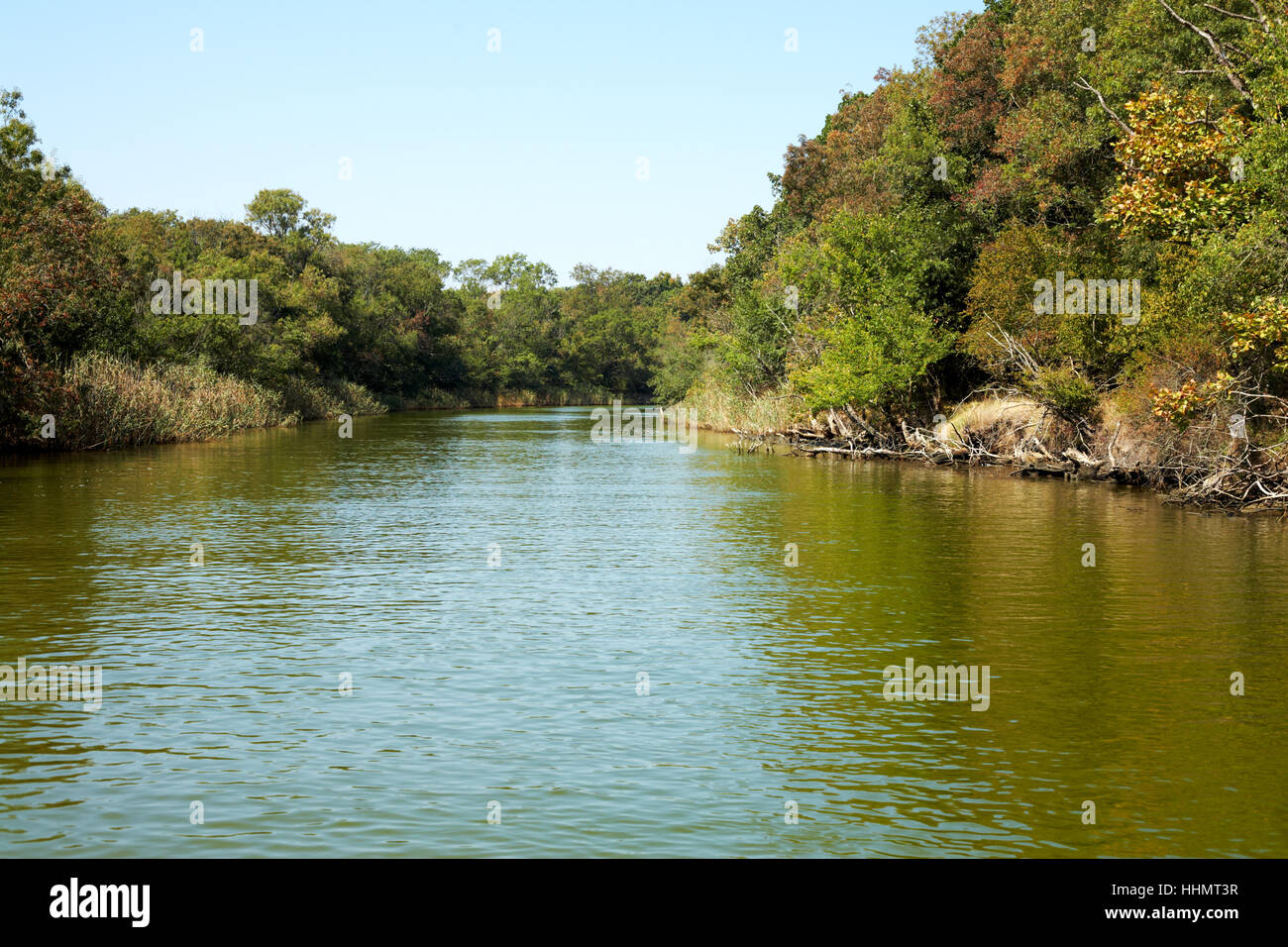 landscape, scenery, countryside, nature, flow, park, summer, summerly ...