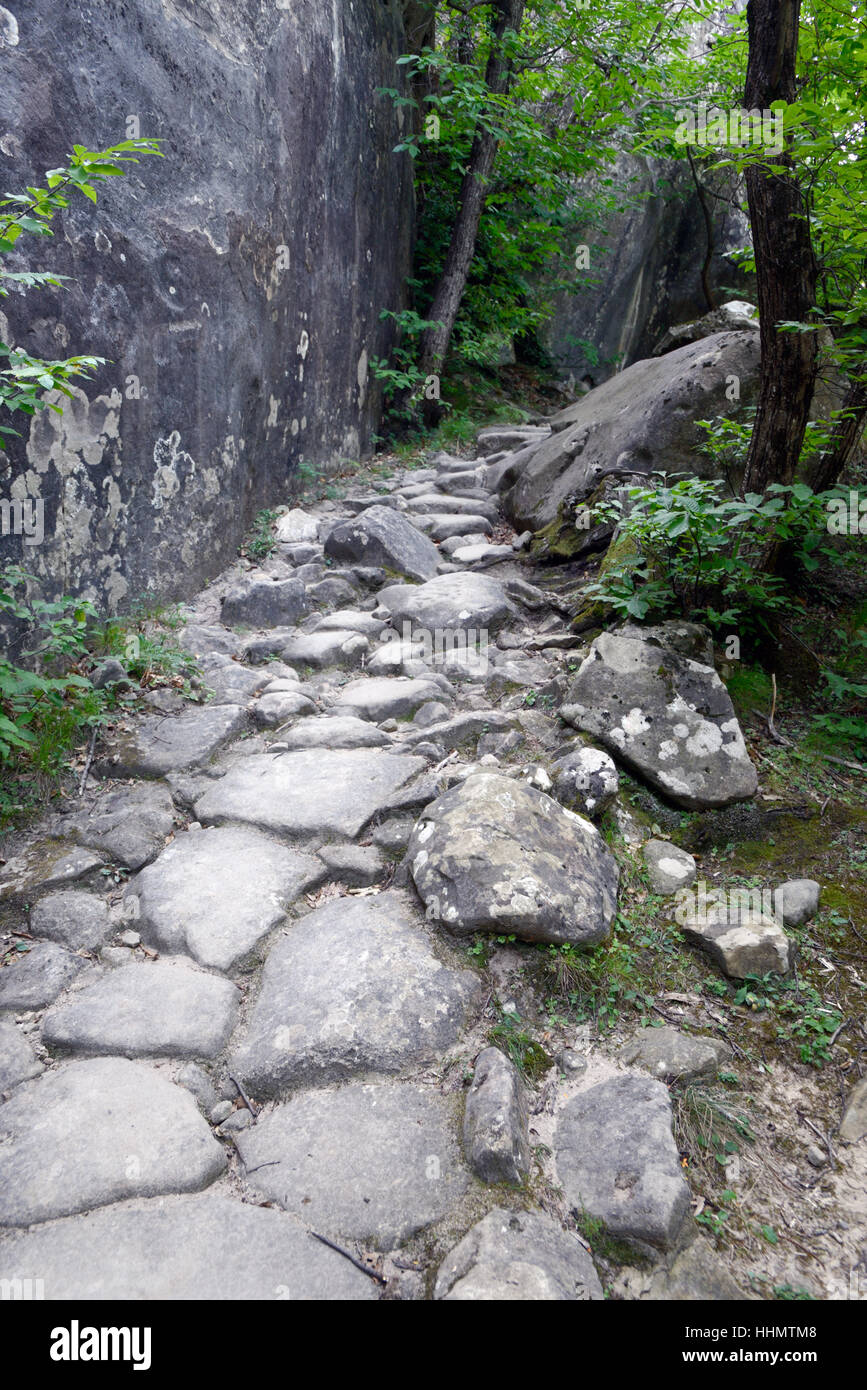 Stone pathway forest hi-res stock photography and images - Alamy