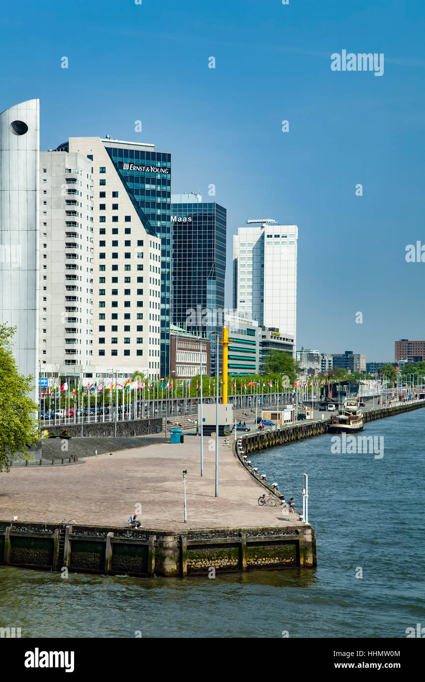 Skyscrapers along Nieuwe Maas River, Rotterdam, Netherlands Stock Photo ...