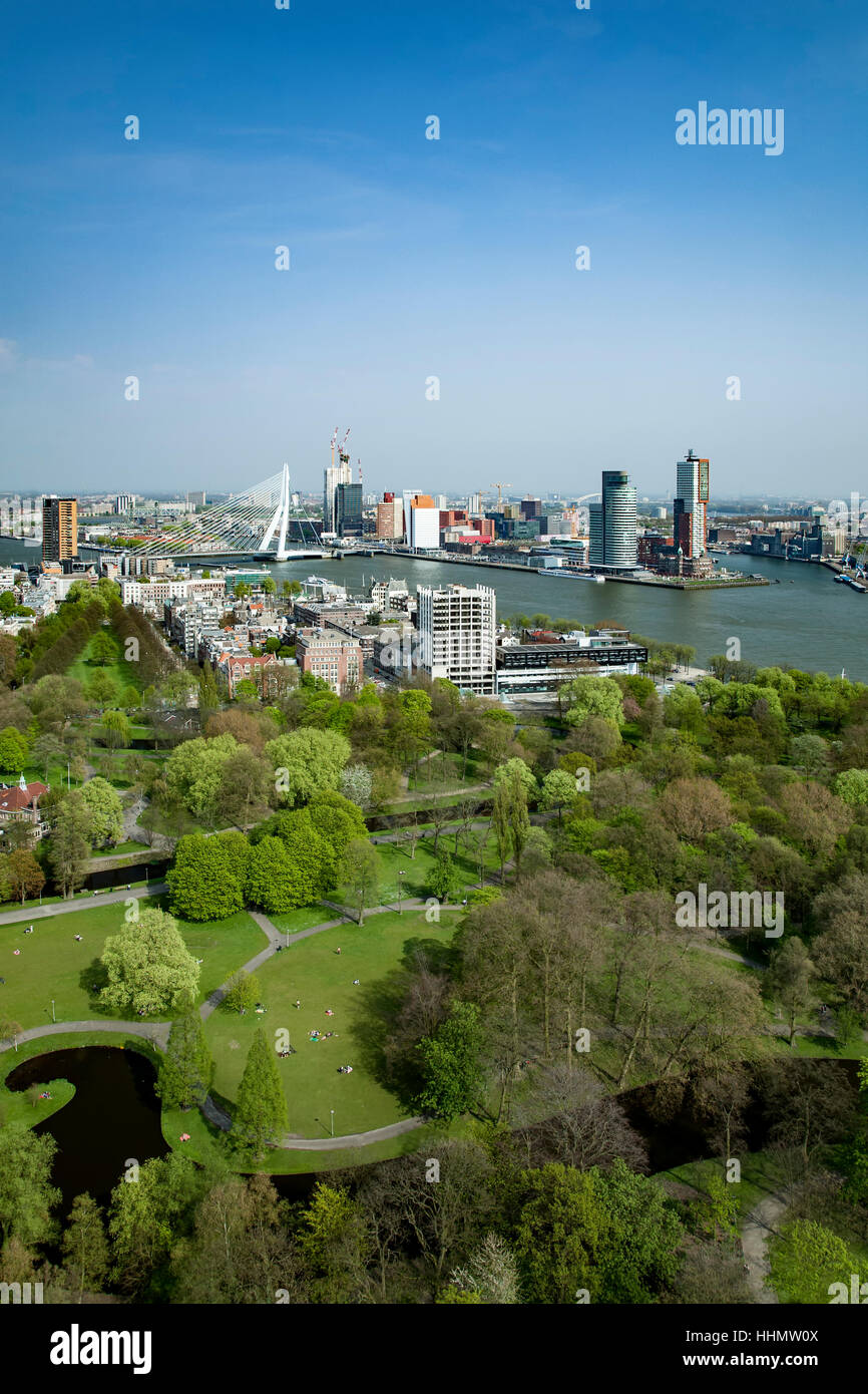 Park, Erasmusbrug (Erasmus Bridge) and Nieuwe Maas River, Rotterdam ...